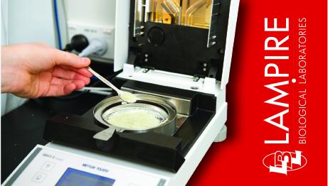 FEATURED PRODUCT: BOVINE SERUM ALBUMIN | Lampire Biological Laboratories, Inc.